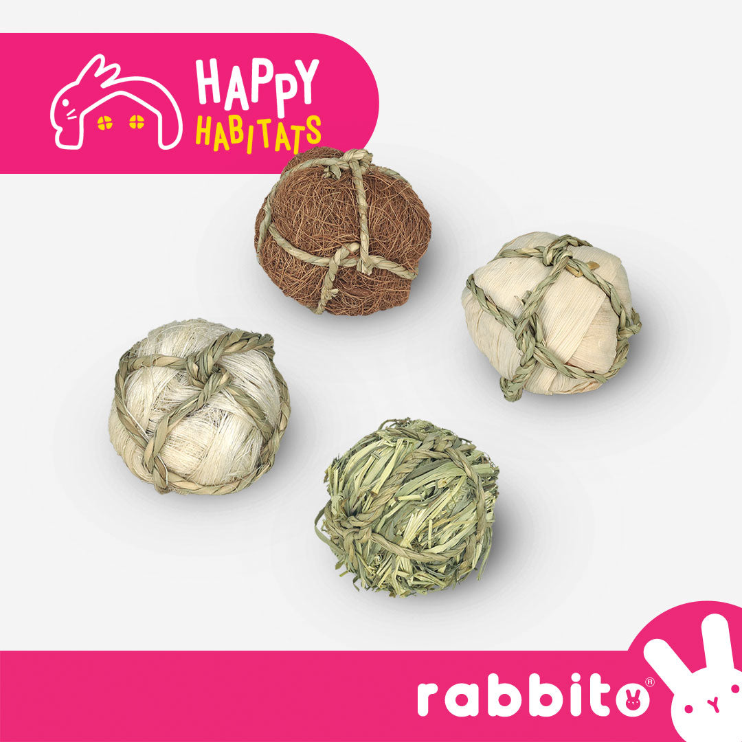 Happy Habitats All-Natural BUNNY BALLS Toy 4-piece Set – Rabbito